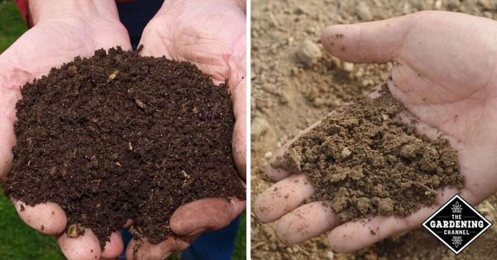 Understanding the Distinction: Compost vs Topsoil - OffGridHarmony