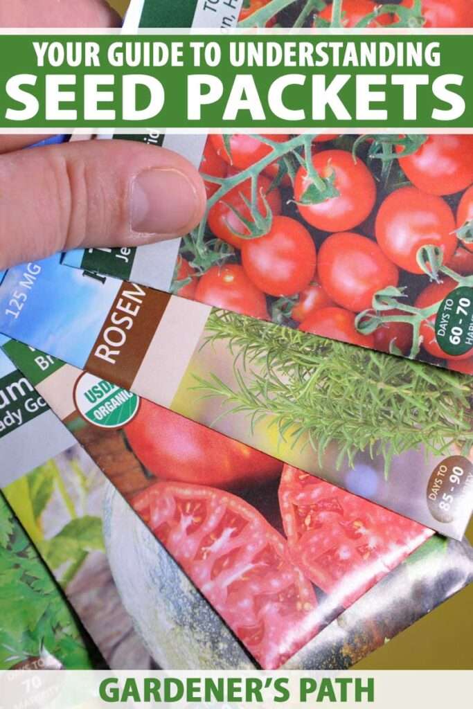 25 cent seed packets can be a good option for testing what grows well ...
