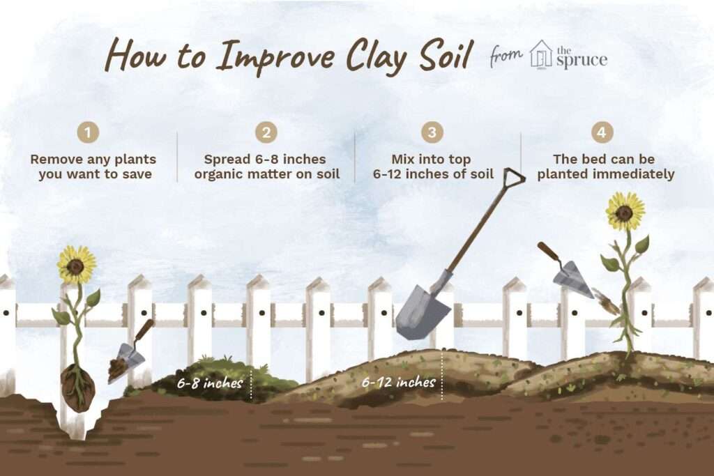 Amending clay soil without tilling using effective methods - OffGridHarmony