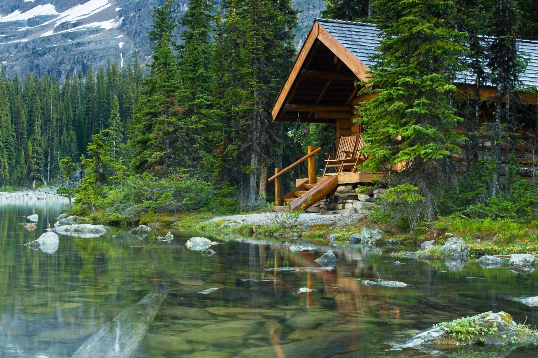 Off-Grid Living: Exploring Alaska's Lush Forests and Diverse Wildlife ...