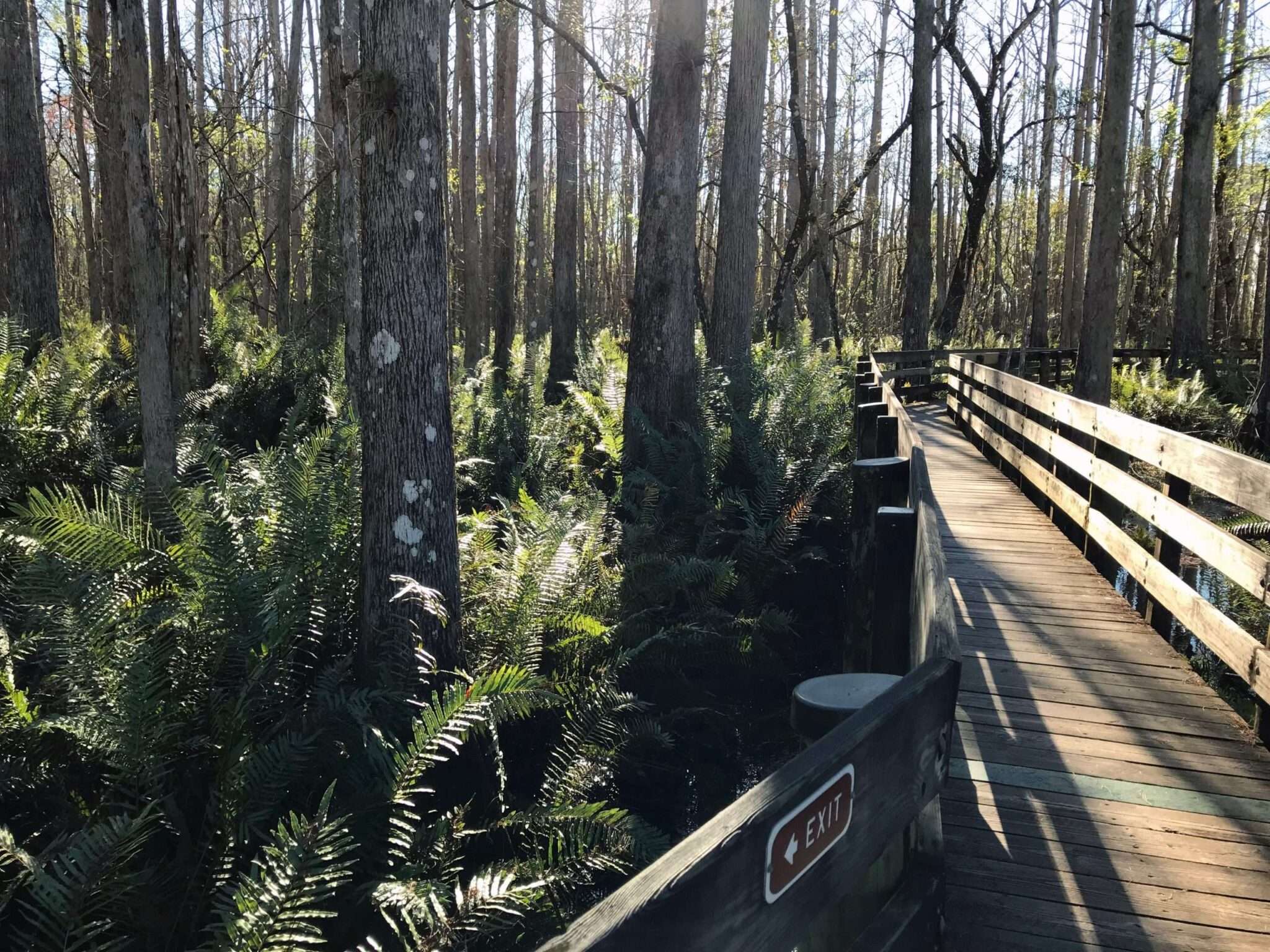 Off-grid living in Florida: Challenges and Considerations - OffGridHarmony